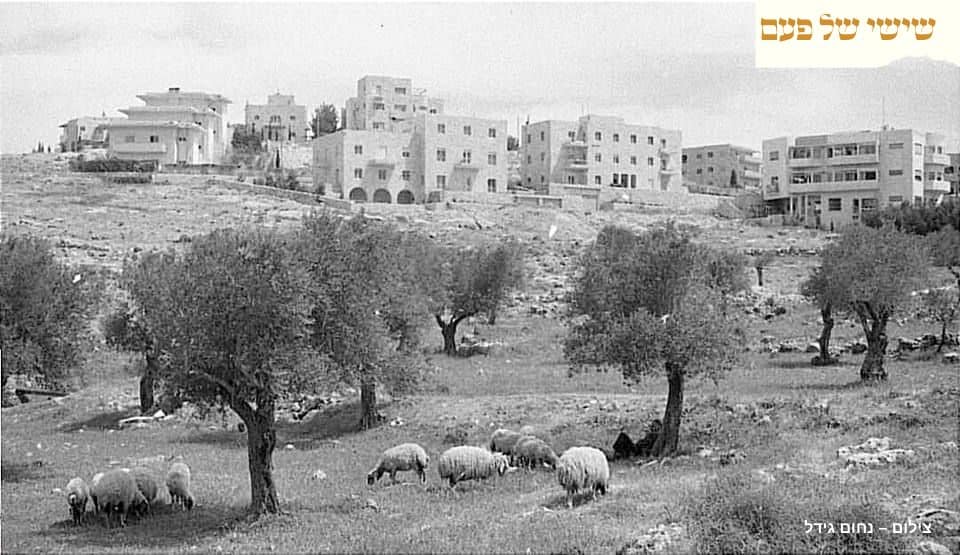 A Glimpse of the Rehavia neighborhood in 1945. - Oren Cohen Group Prime ...